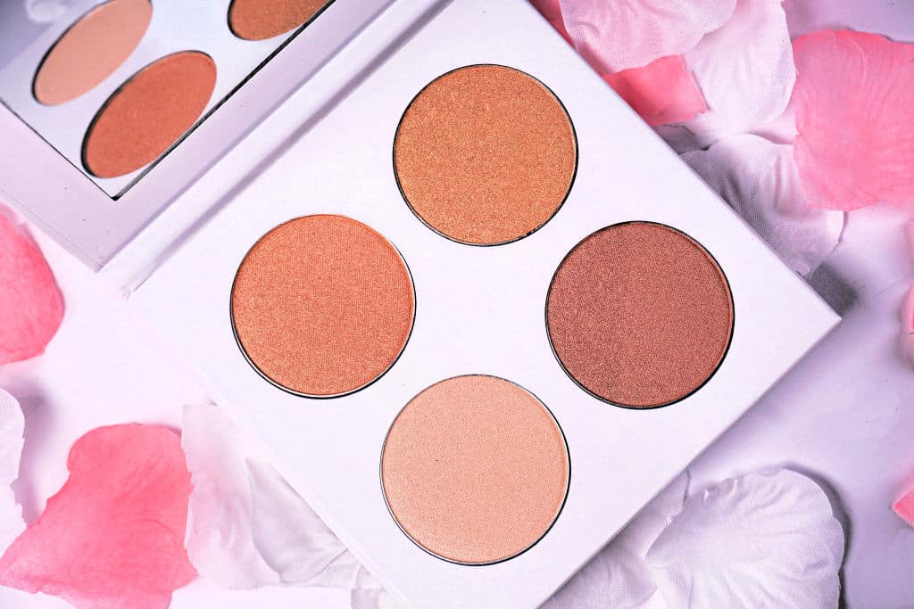 New Standard High Standards Highlighter Palette Review | Beautyblog